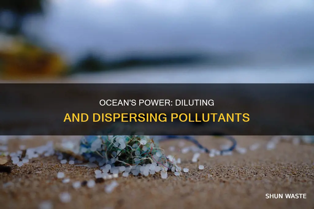 Ocean's Power: Diluting And Dispersing Pollutants | ShunWaste