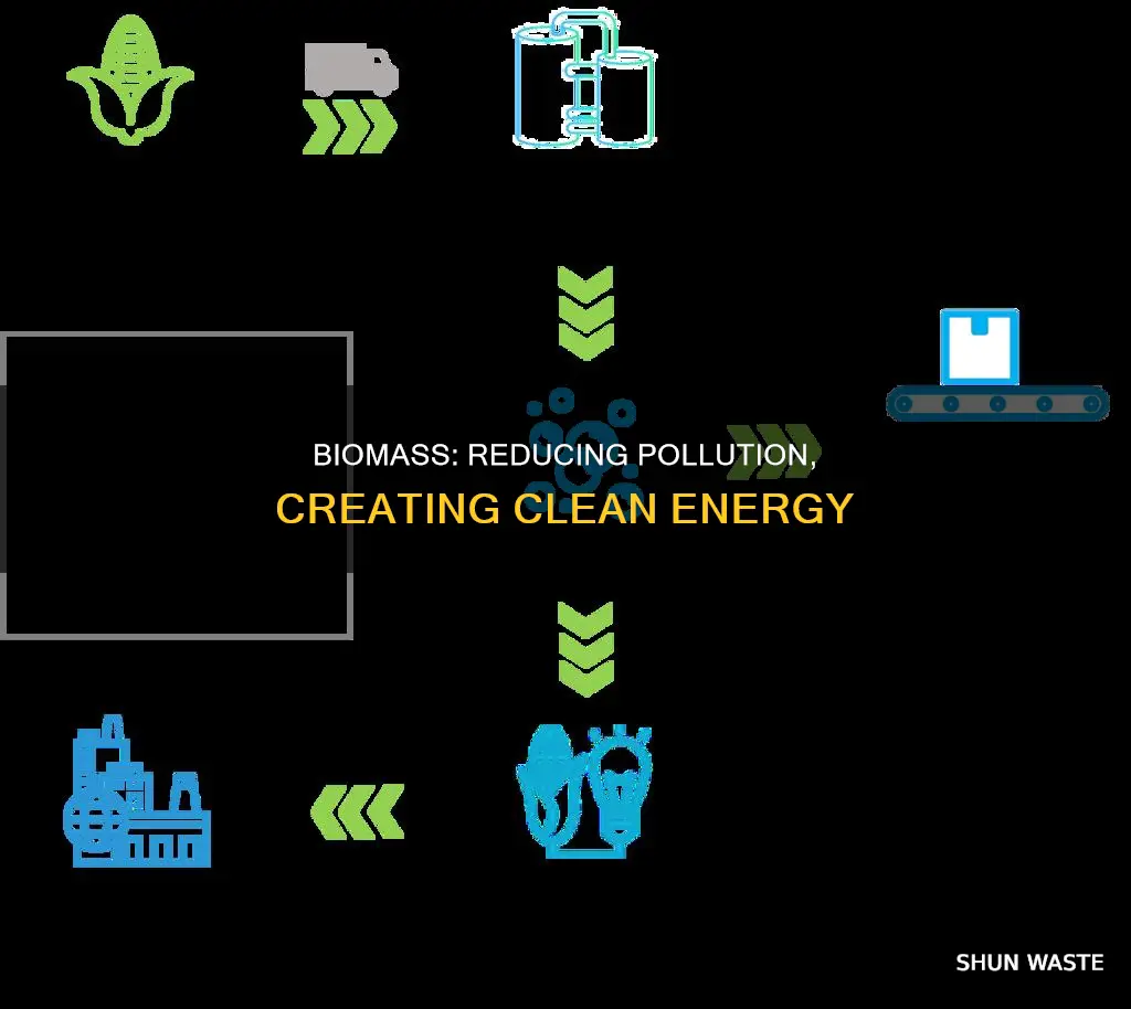 Biomass: Reducing Pollution, Creating Clean Energy | ShunWaste