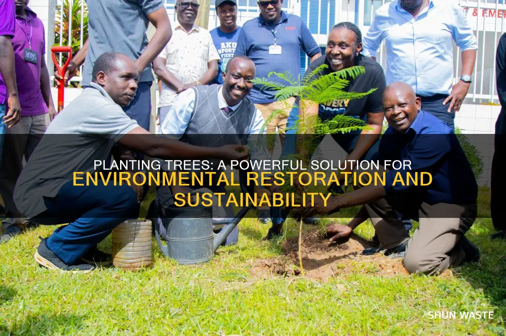 Planting Trees: A Powerful Solution For Environmental Restoration And ...
