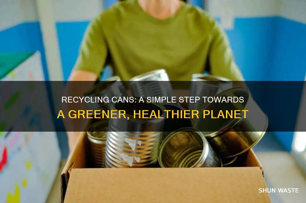 Recycling Cans: A Simple Step Towards A Greener, Healthier Planet ...