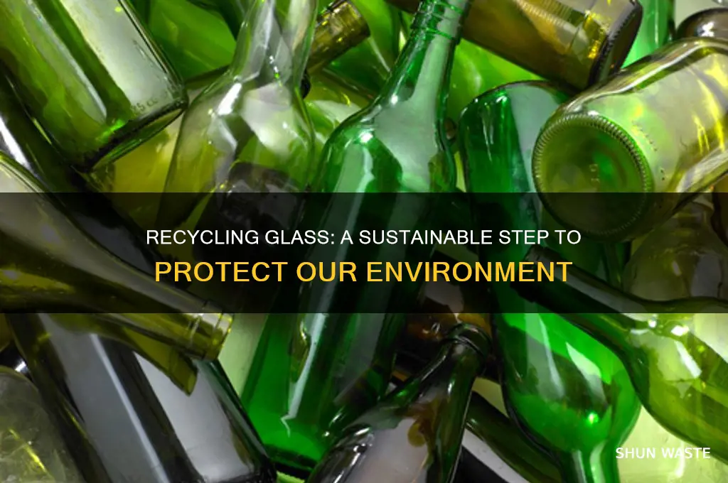 Recycling Glass: A Sustainable Step To Protect Our Environment | ShunWaste
