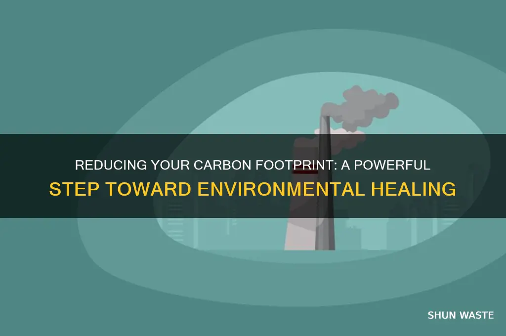 Reducing Your Carbon Footprint: A Powerful Step Toward Environmental ...