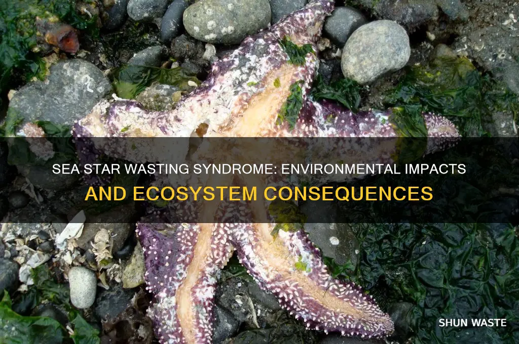 Sea Star Wasting Syndrome: Environmental Impacts And Ecosystem ...
