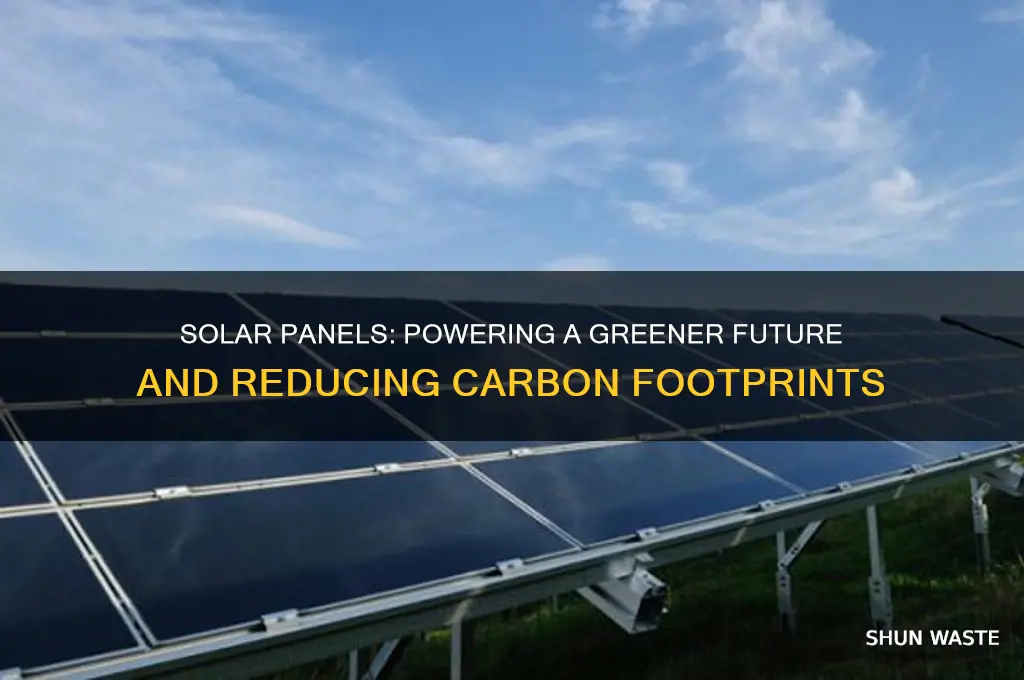 Solar Panels: Powering A Greener Future And Reducing Carbon Footprints ...