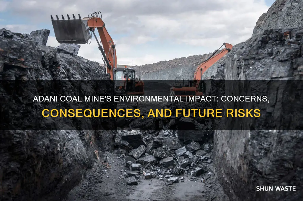 Adani Coal Mine's Environmental Impact: Concerns, Consequences, And ...