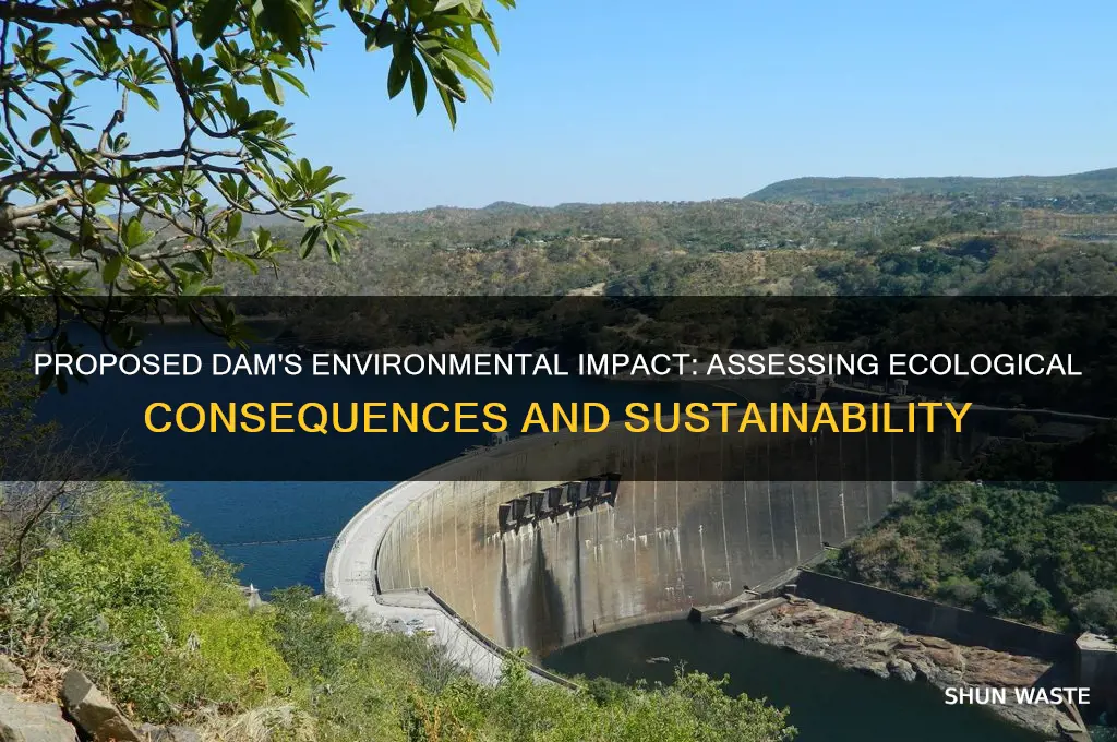 Proposed Dam's Environmental Impact: Assessing Ecological Consequences ...