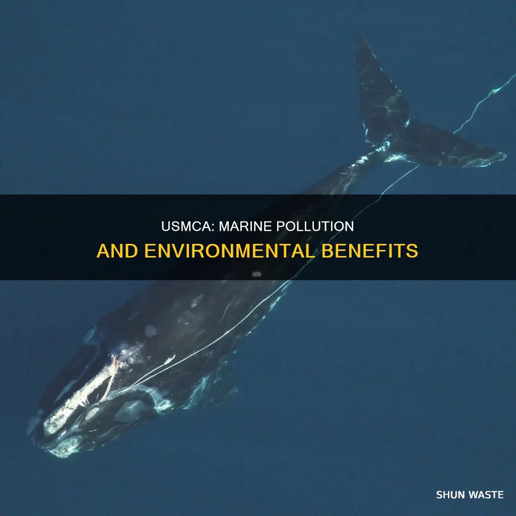 Usmca: Marine Pollution And Environmental Benefits | ShunWaste