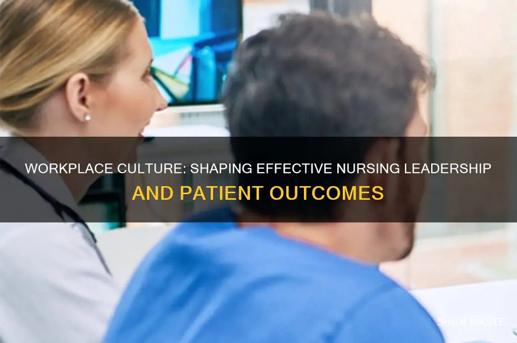 Workplace Culture: Shaping Effective Nursing Leadership And Patient ...