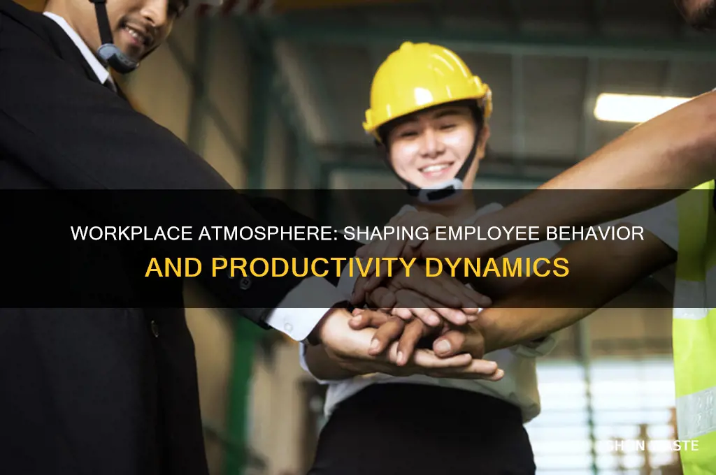 Workplace Atmosphere: Shaping Employee Behavior And Productivity ...