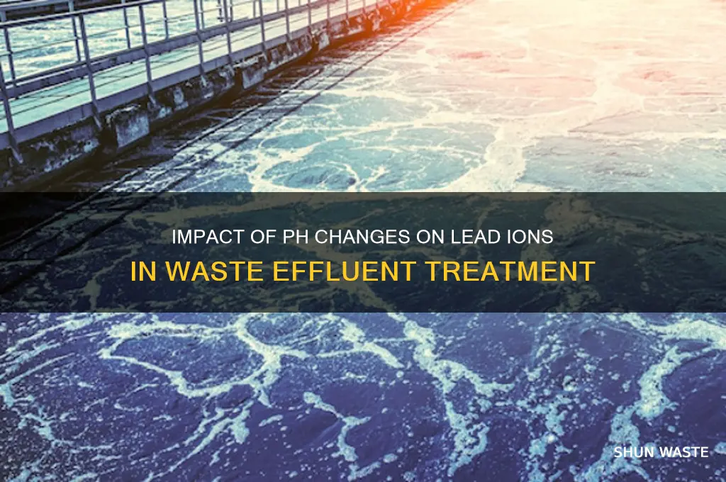 Impact Of Ph Changes On Lead Ions In Waste Effluent Treatment | ShunWaste