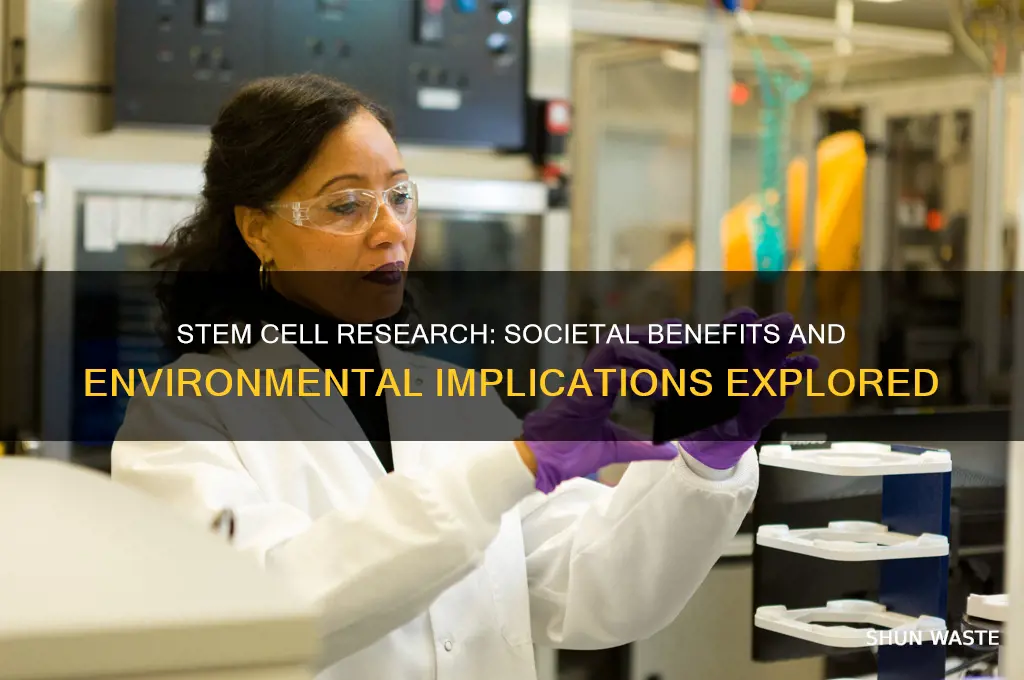 Stem Cell Research: Societal Benefits And Environmental Implications ...