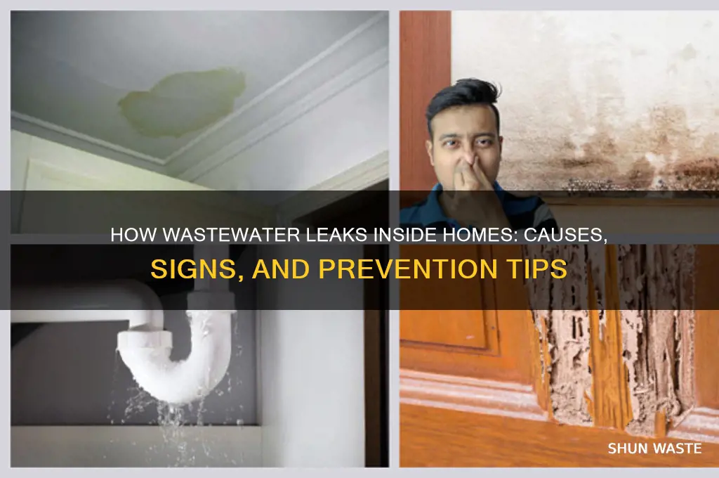 How Wastewater Leaks Inside Homes: Causes, Signs, And Prevention Tips ...