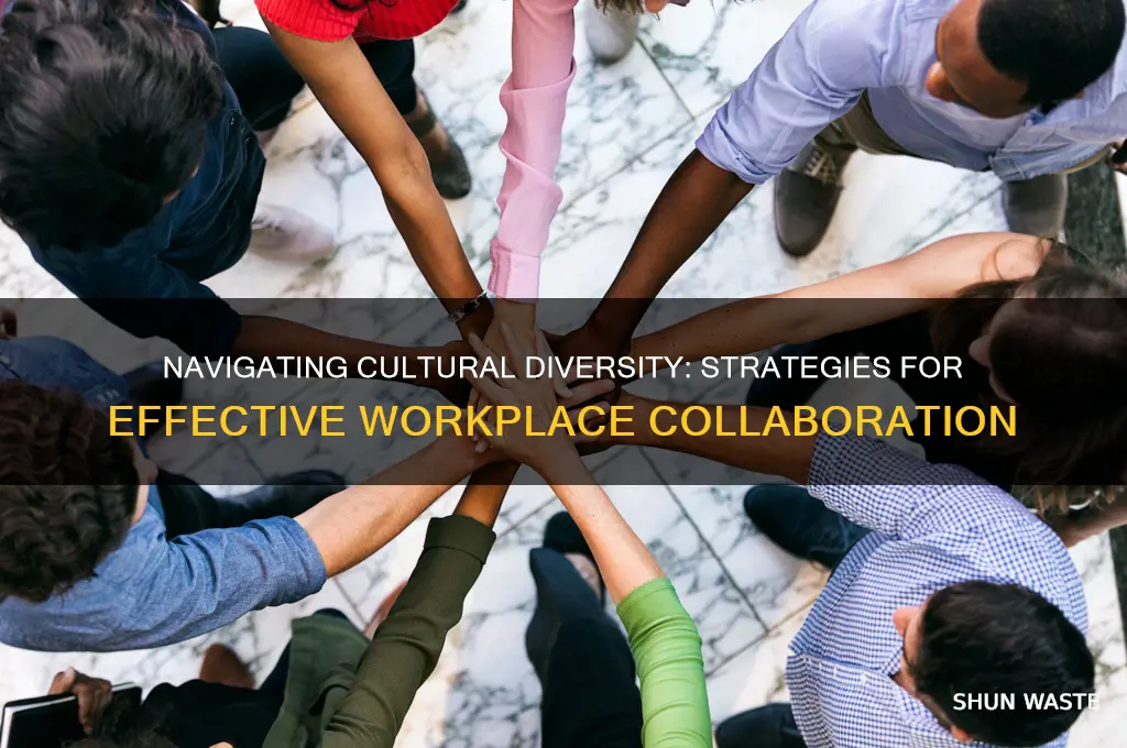 Navigating Cultural Diversity: Strategies For Effective Workplace ...