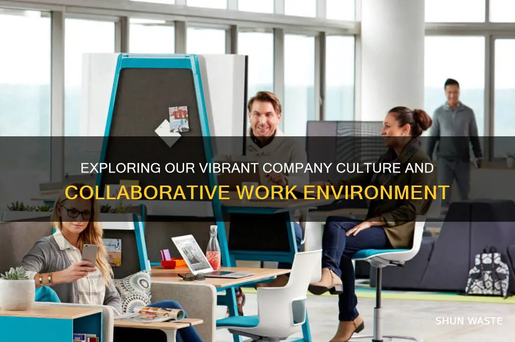Exploring Our Vibrant Company Culture And Collaborative Work ...