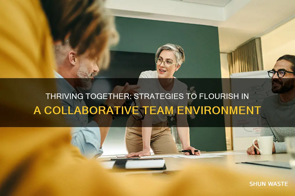 Thriving Together: Strategies To Flourish In A Collaborative Team ...