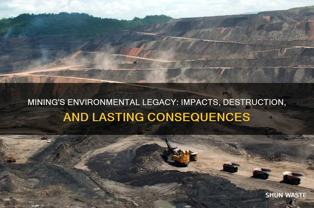 Mining's Environmental Legacy: Impacts, Destruction, And Lasting ...