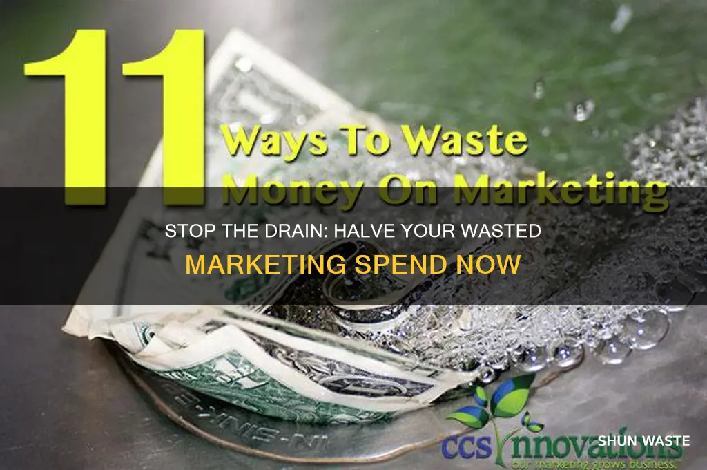 Stop The Drain: Halve Your Wasted Marketing Spend Now | ShunWaste