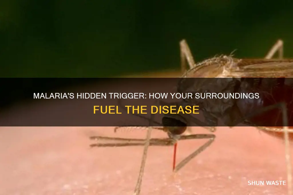Malaria's Hidden Trigger: How Your Surroundings Fuel The Disease ...