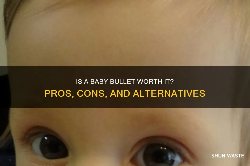 Is A Baby Bullet Worth It? Pros, Cons, And Alternatives | ShunWaste