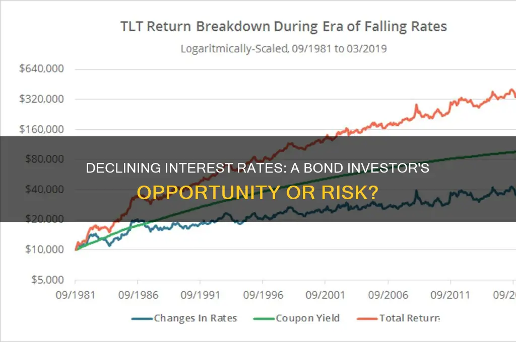Declining Interest Rates: A Bond Investor's Opportunity Or Risk ...