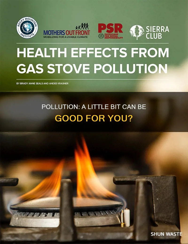 Pollution: A Little Bit Can Be Good For You? | ShunWaste