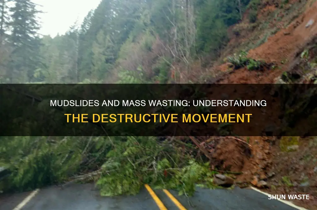 Mudslides And Mass Wasting: Understanding The Destructive Movement ...