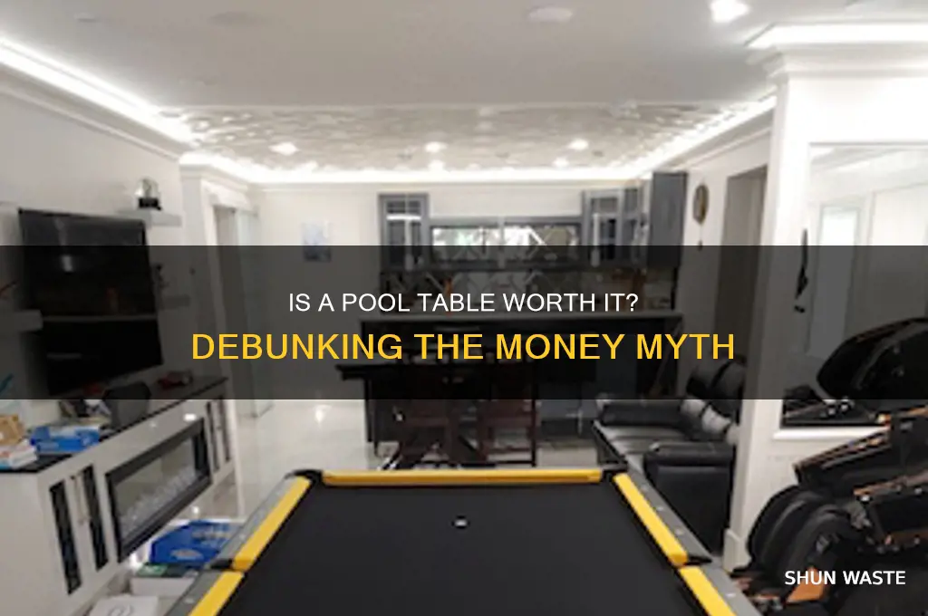 Is A Pool Table Worth It? Debunking The Money Myth | ShunWaste