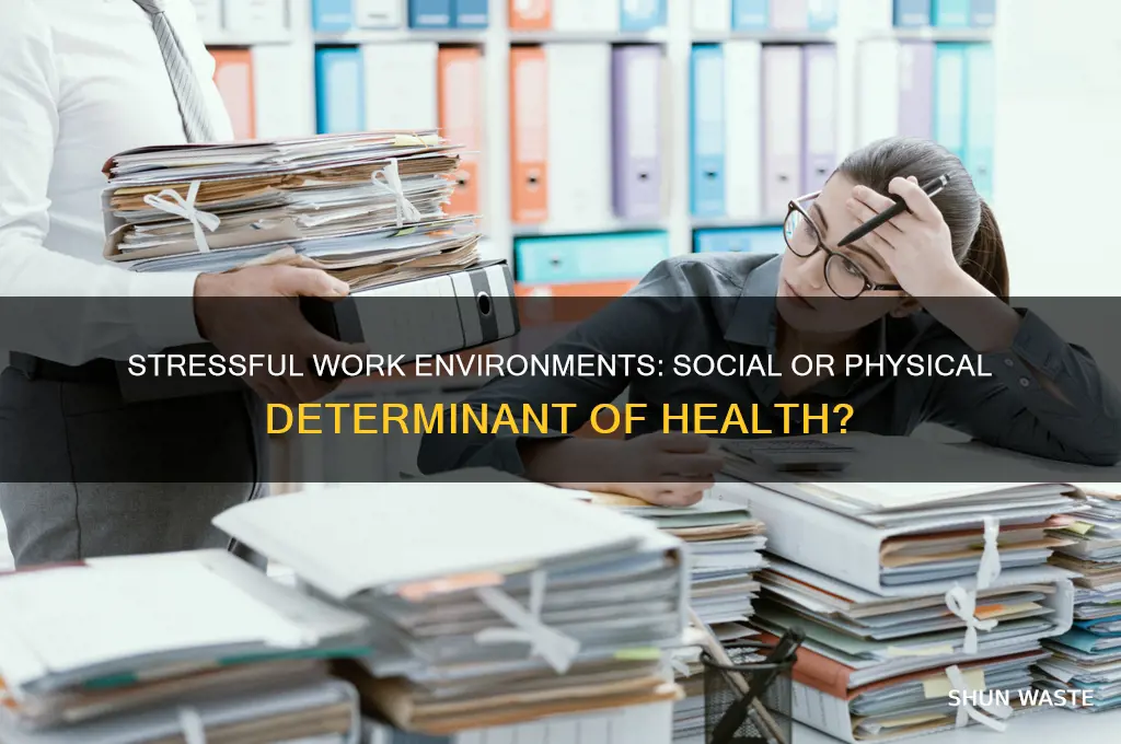 Stressful Work Environments: Social Or Physical Determinant Of Health ...