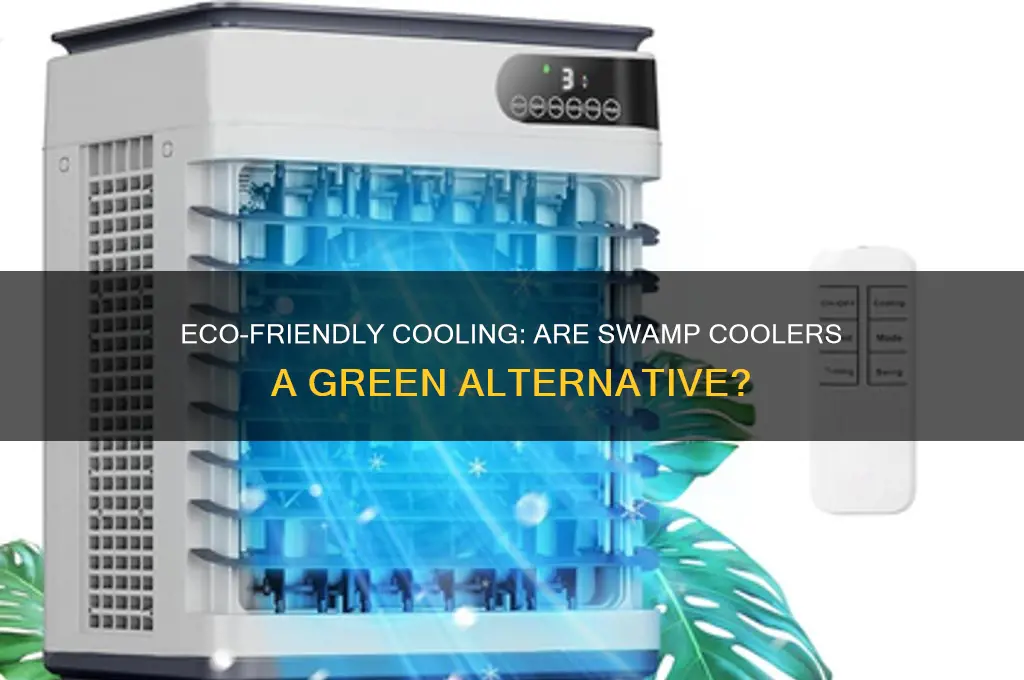 Eco-Friendly Cooling: Are Swamp Coolers A Green Alternative? | ShunWaste