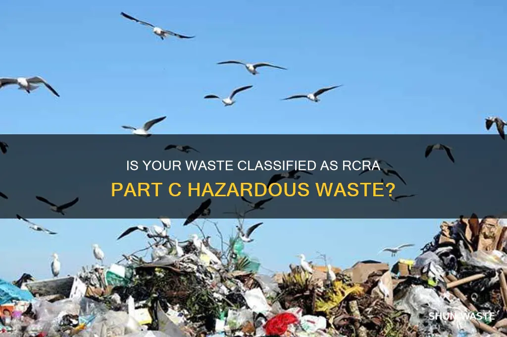 Is Your Waste Classified As Rcra Part C Hazardous Waste? | ShunWaste