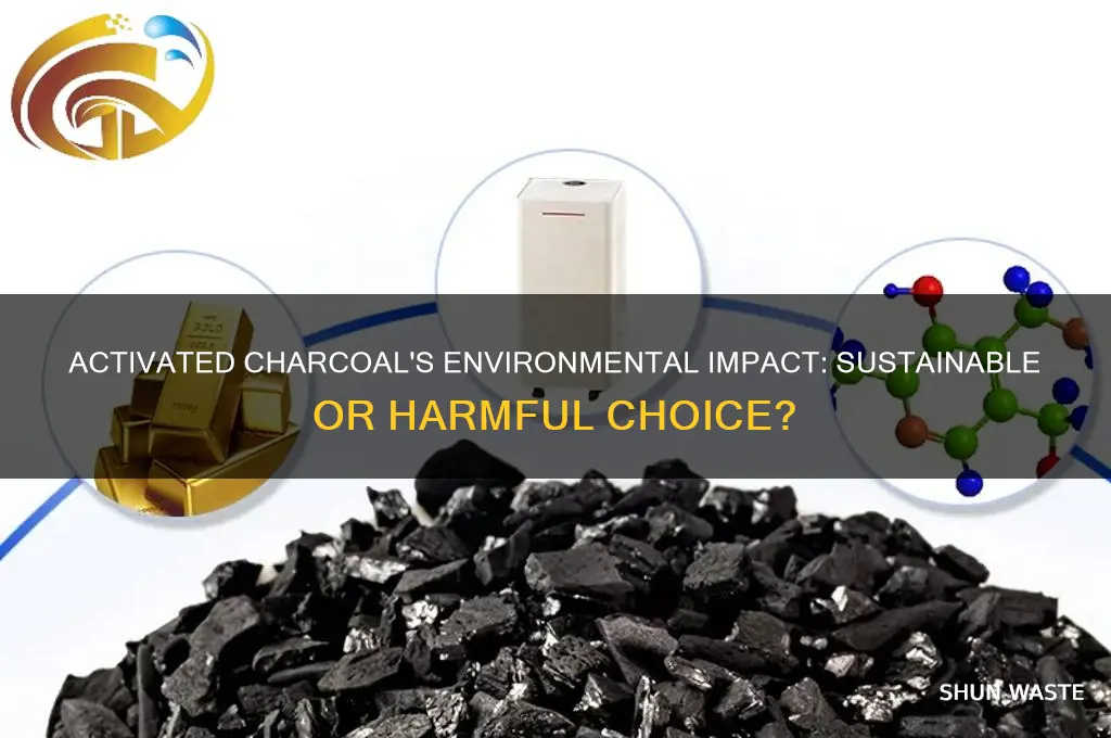 Activated Charcoal's Environmental Impact: Sustainable Or Harmful ...