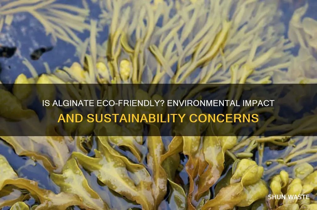 Is Alginate Eco-Friendly? Environmental Impact And Sustainability ...