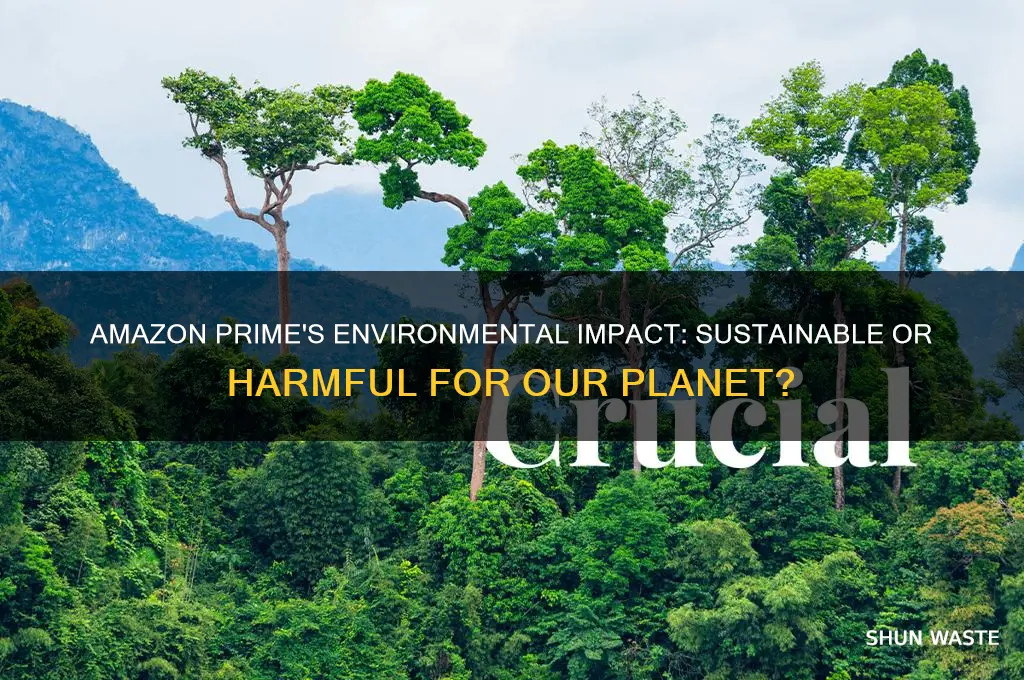Amazon Prime's Environmental Impact: Sustainable Or Harmful For Our ...
