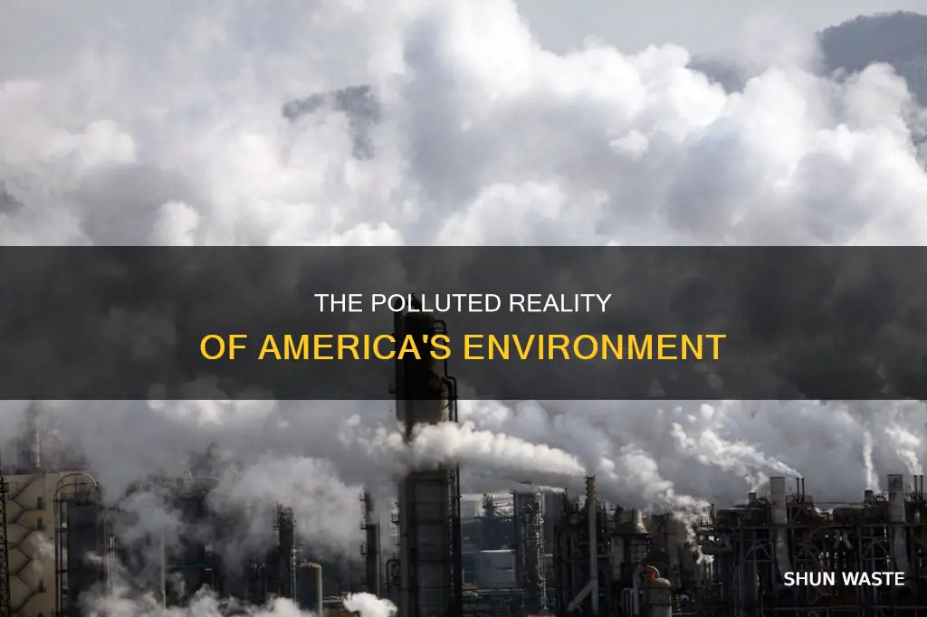 The Polluted Reality Of America's Environment | ShunWaste