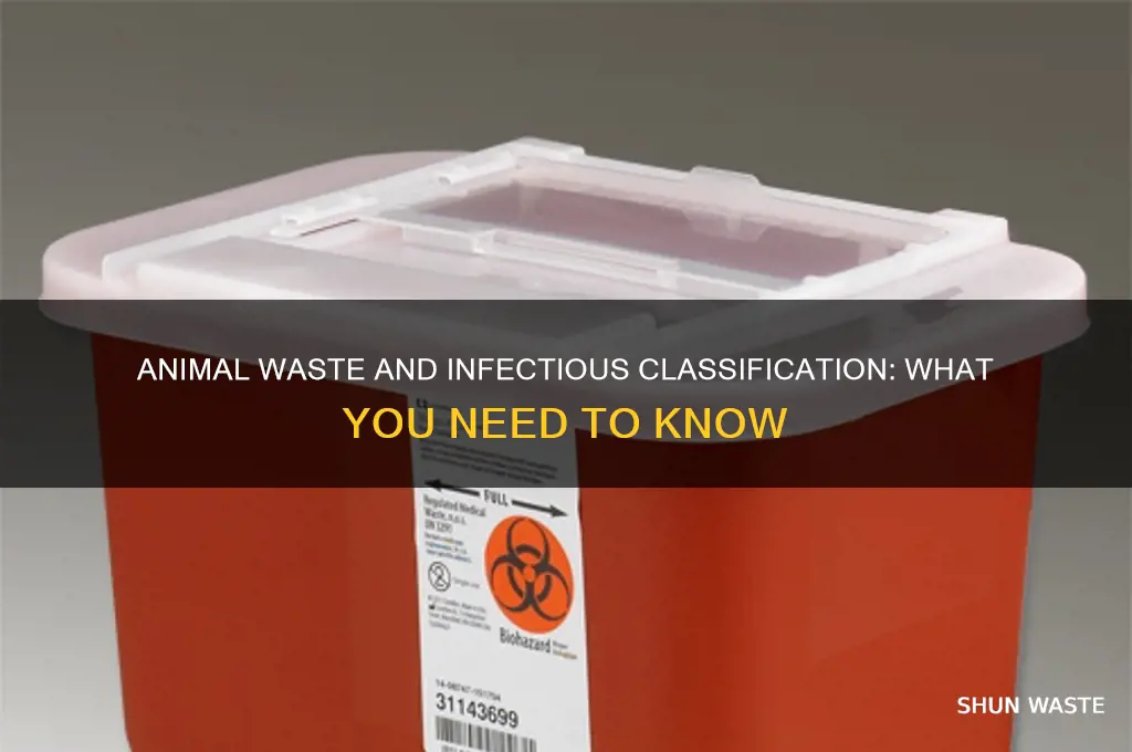 Animal Waste And Infectious Classification: What You Need To Know ...