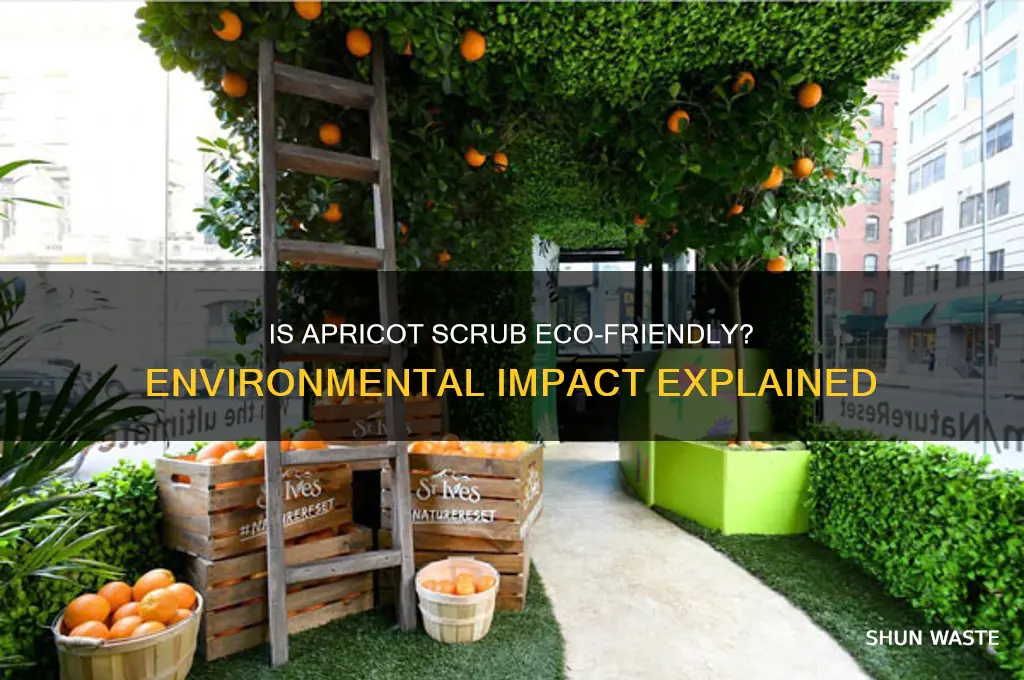 Is Apricot Scrub Eco-Friendly? Environmental Impact Explained | ShunWaste