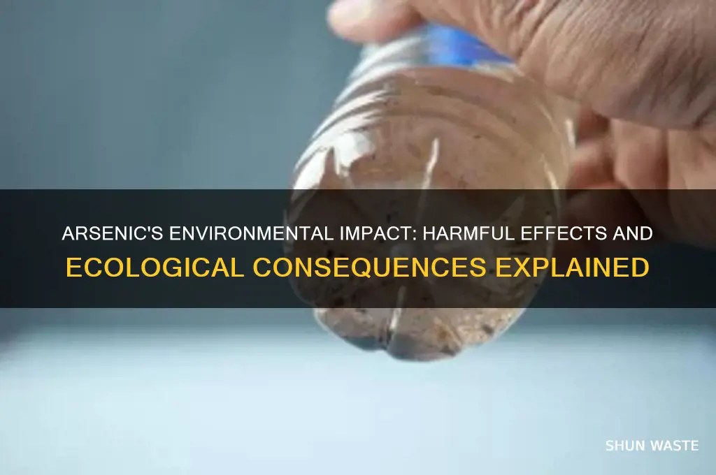 Arsenic's Environmental Impact: Harmful Effects And Ecological ...