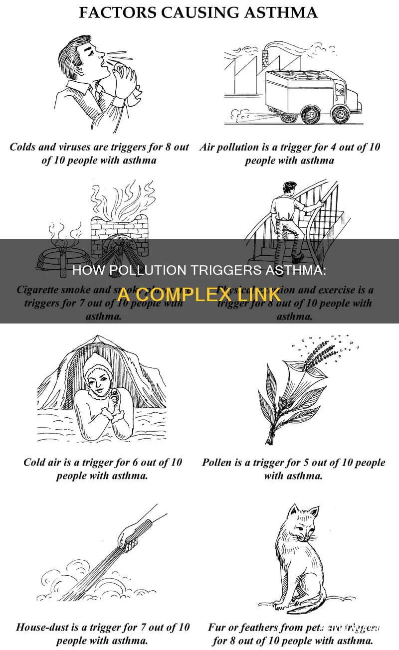 How Pollution Triggers Asthma: A Complex Link | ShunWaste