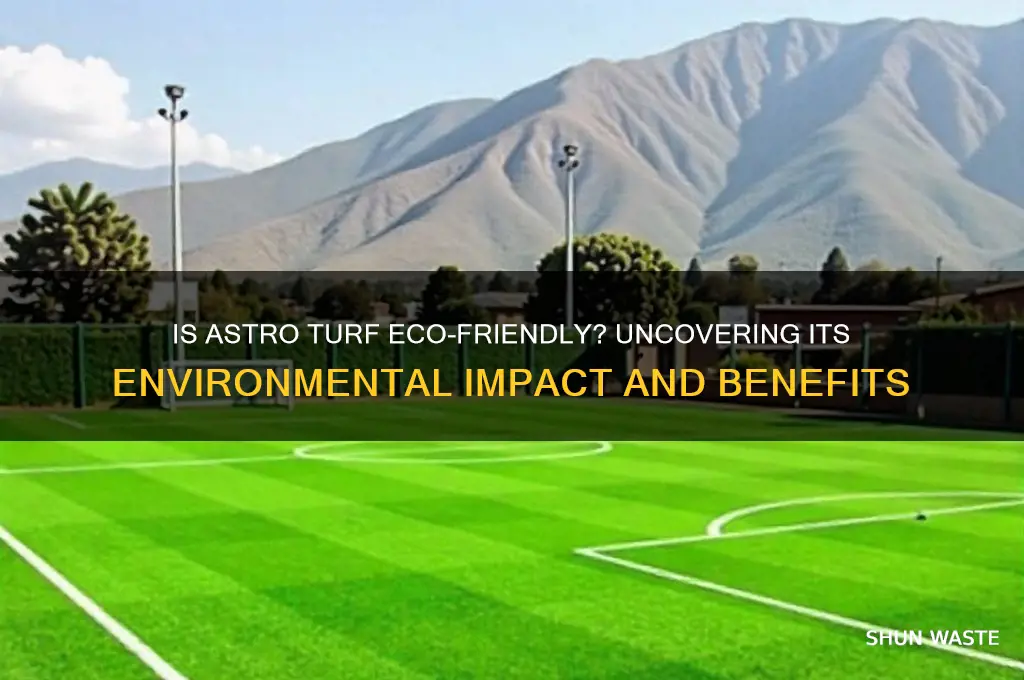 Is Astro Turf Eco-Friendly? Uncovering Its Environmental Impact And ...