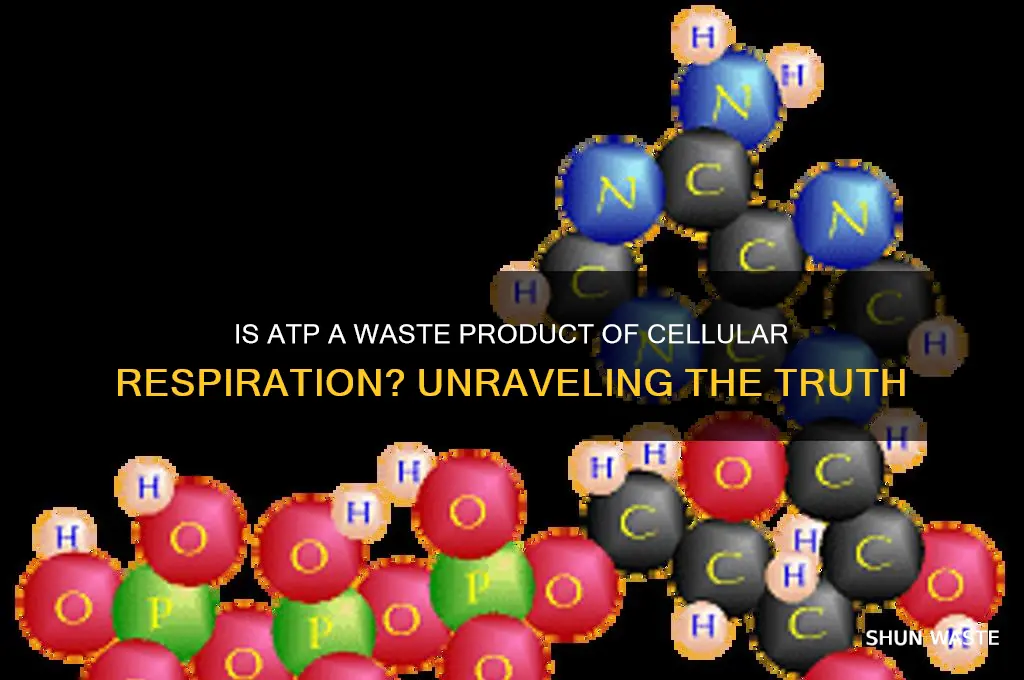 Is Atp A Waste Product Of Cellular Respiration? Unraveling The Truth ...