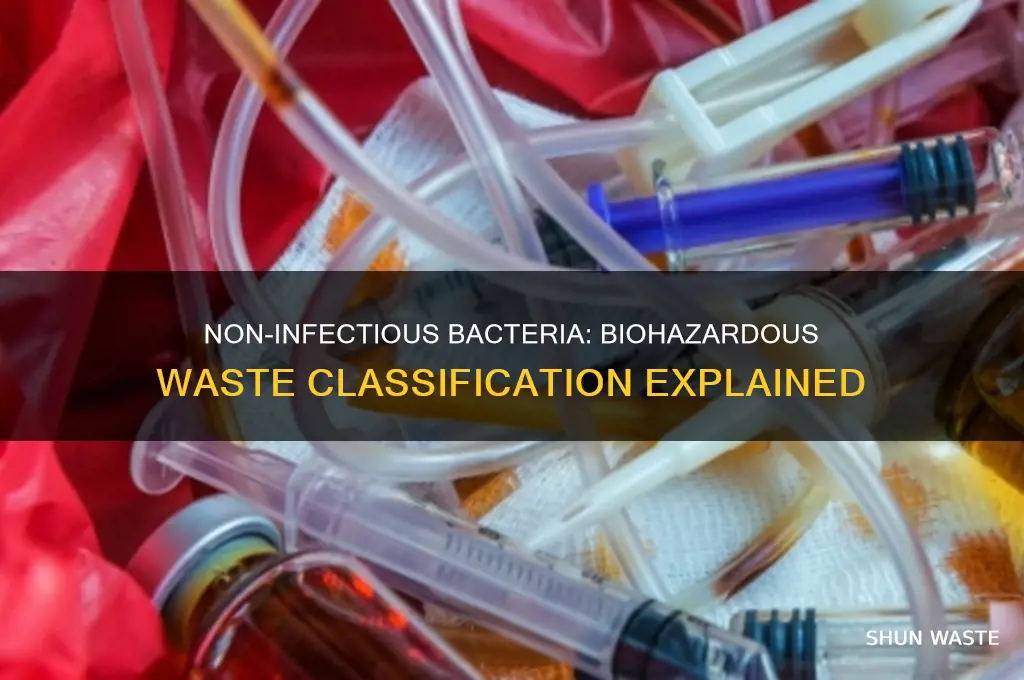 Non-Infectious Bacteria: Biohazardous Waste Classification Explained ...