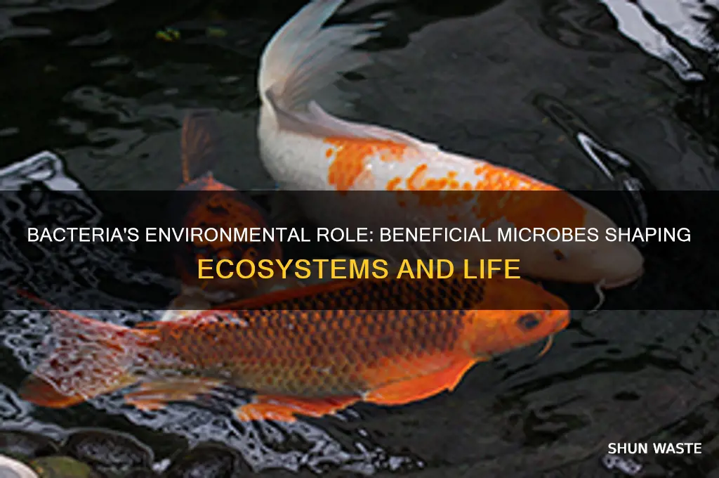 Bacteria's Environmental Role: Beneficial Microbes Shaping Ecosystems ...