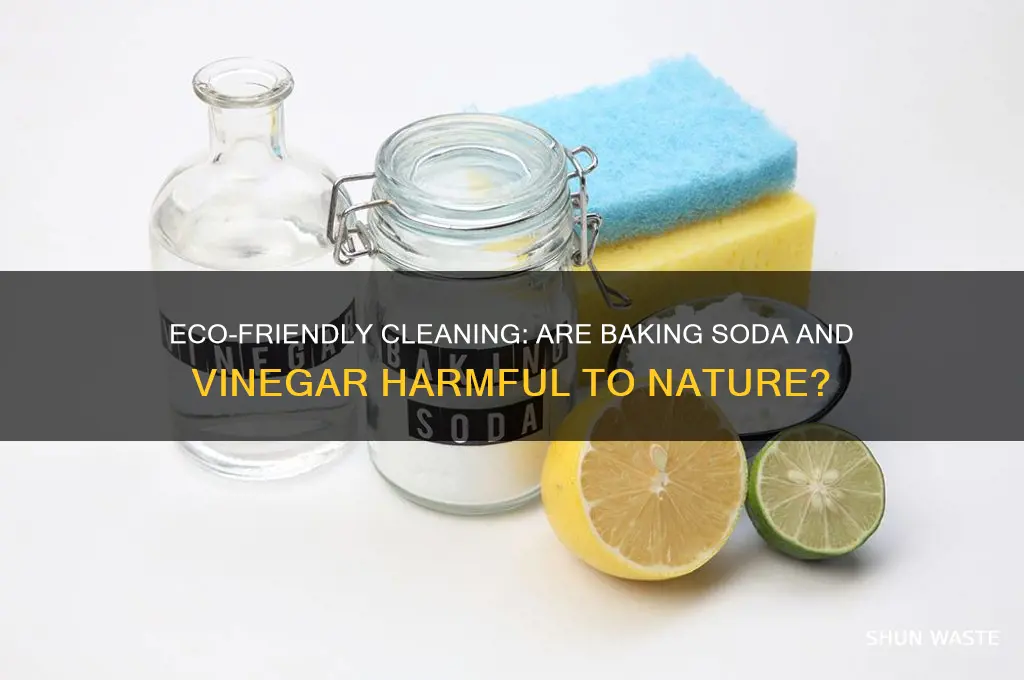 Eco-Friendly Cleaning: Are Baking Soda And Vinegar Harmful To Nature ...