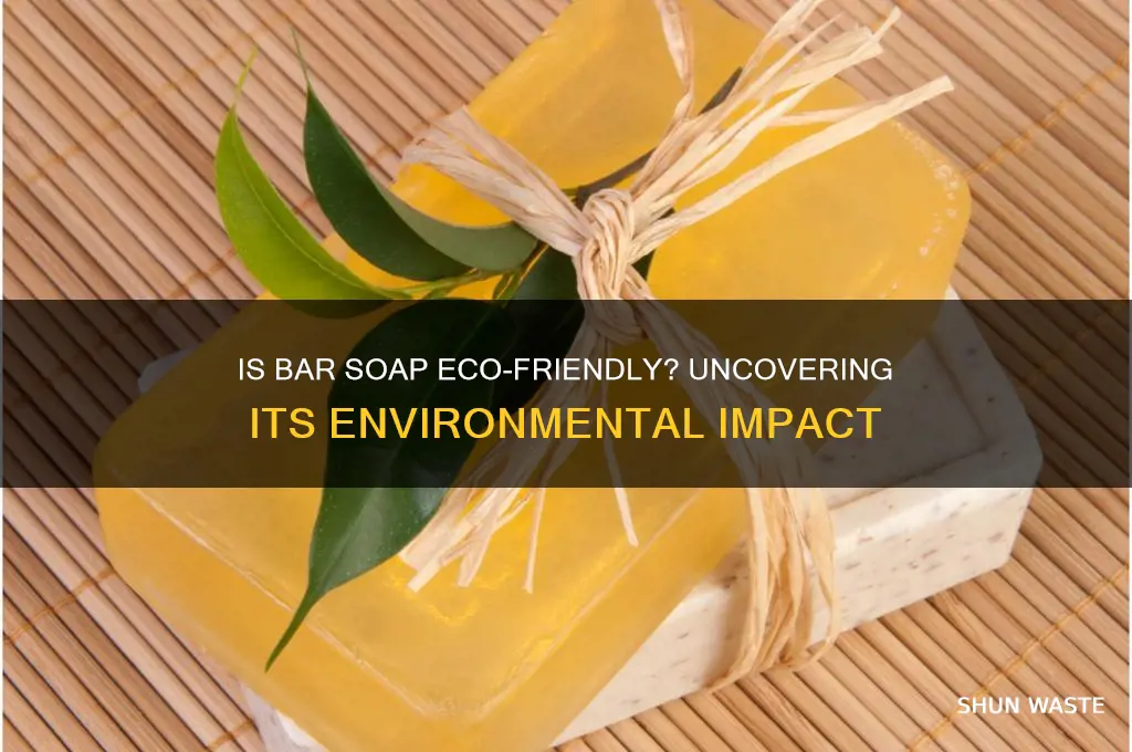 Is Bar Soap Eco-Friendly? Uncovering Its Environmental Impact | ShunWaste
