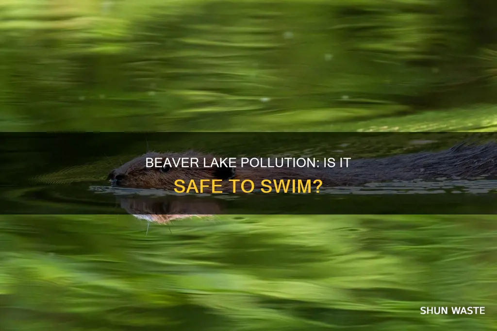 Beaver Lake Pollution: Is It Safe To Swim? | ShunWaste