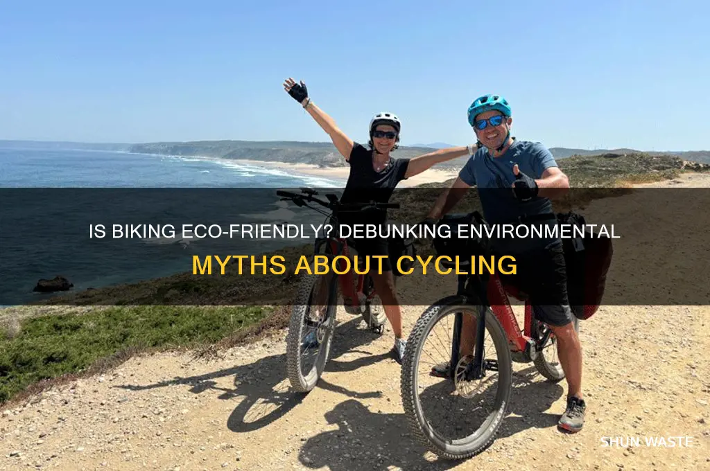 Is Biking Eco-Friendly? Debunking Environmental Myths About Cycling ...