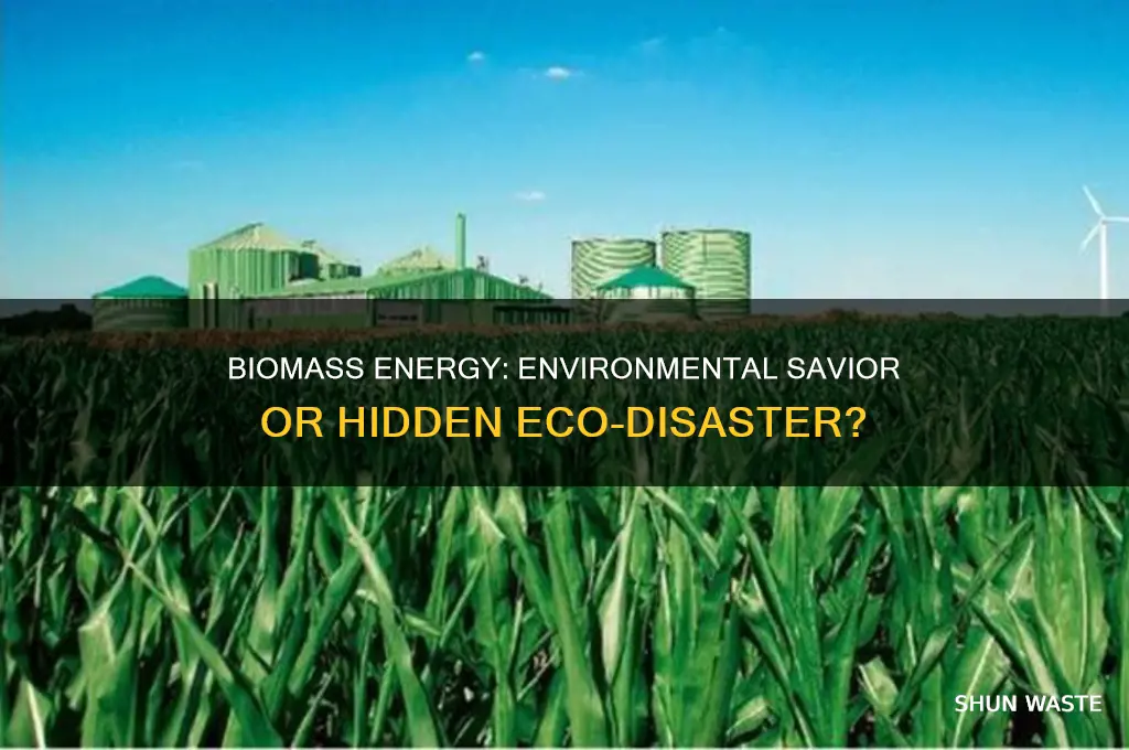 Biomass Energy: Environmental Savior Or Hidden Eco-Disaster? | ShunWaste