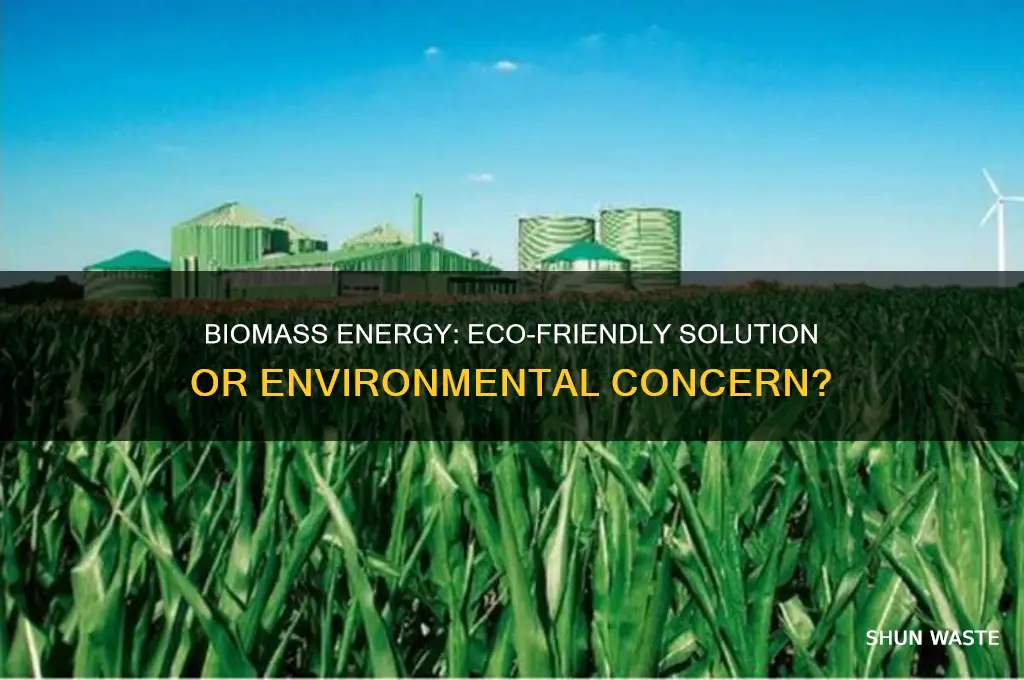 Biomass Energy: Eco-Friendly Solution Or Environmental Concern? | ShunWaste