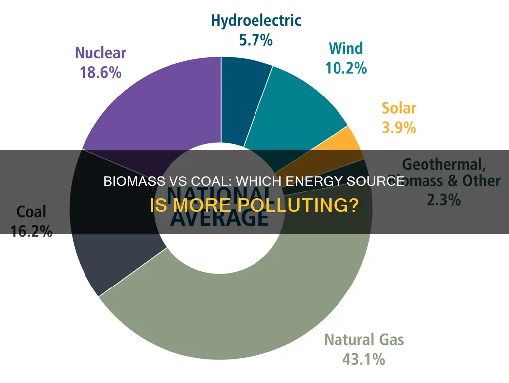 Biomass Vs Coal: Which Energy Source Is More Polluting? | ShunWaste