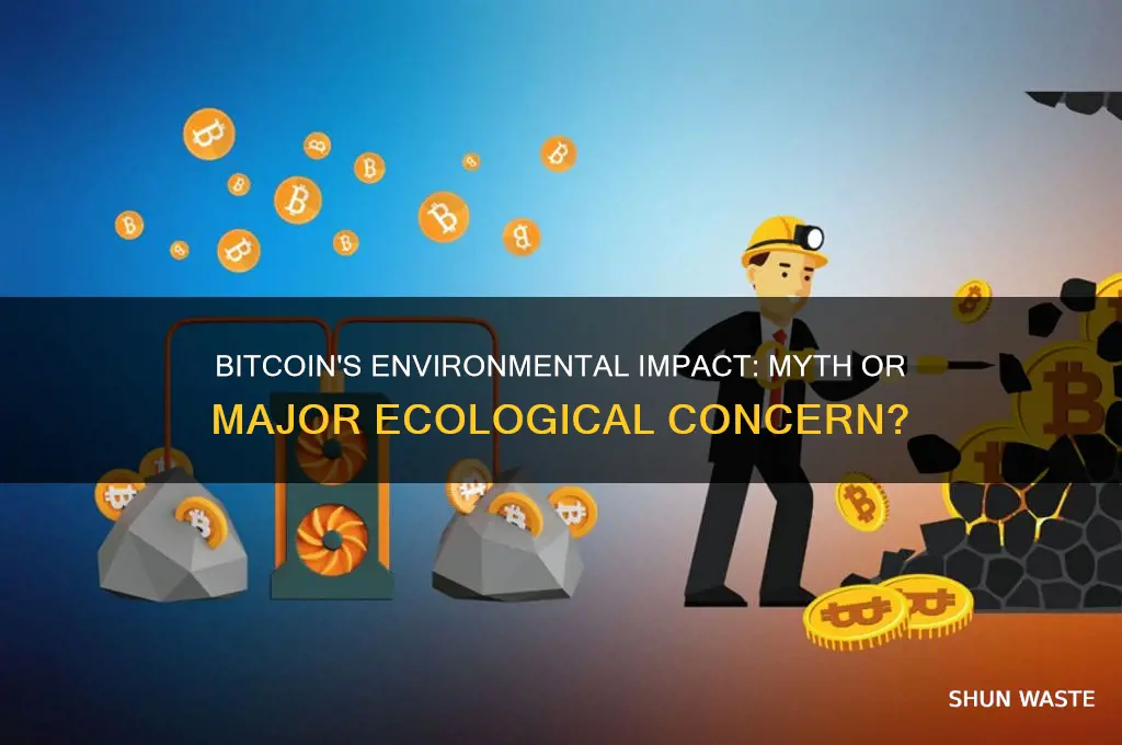 Bitcoin's Environmental Impact: Myth Or Major Ecological Concern ...